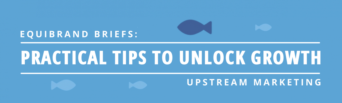 Upstream Marketing | Uncover the Basics with EquiBrand